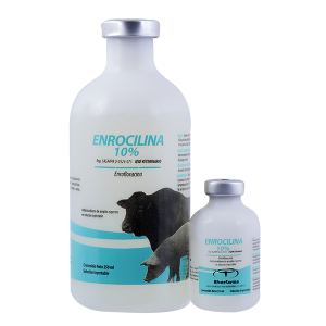 Enrocilina 10% - Riverfarma
